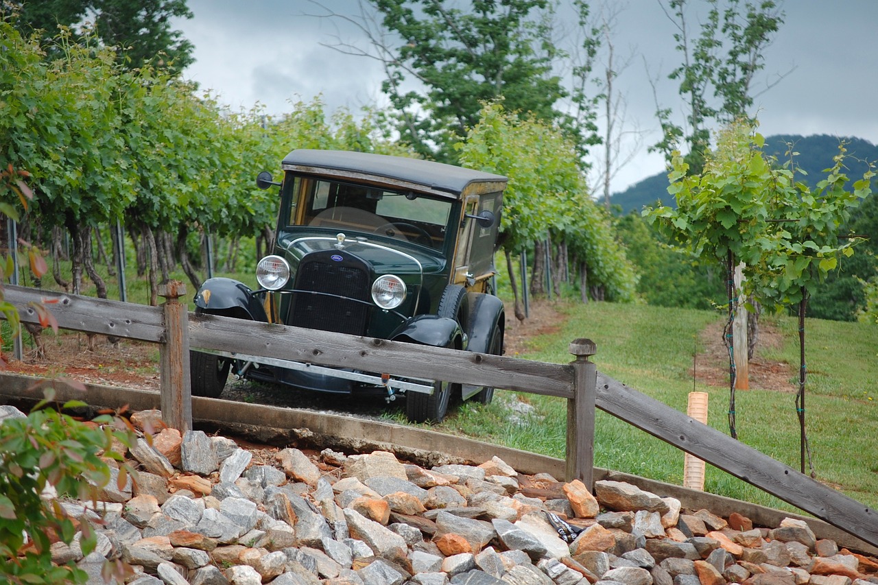 Foothills Model t Ford Club | The History of the Model T